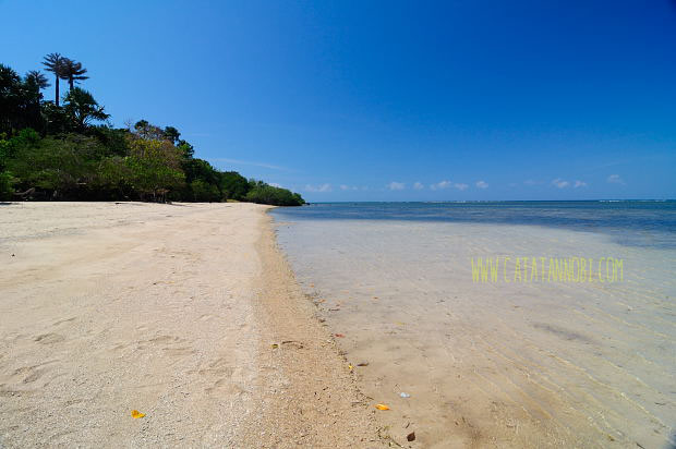 Pantai Bama, Destinasi Favorit di Taman Nasional Baluran | Catatan Nobi