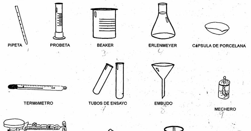 Biología : Principales Instrumentos de Laboratorio