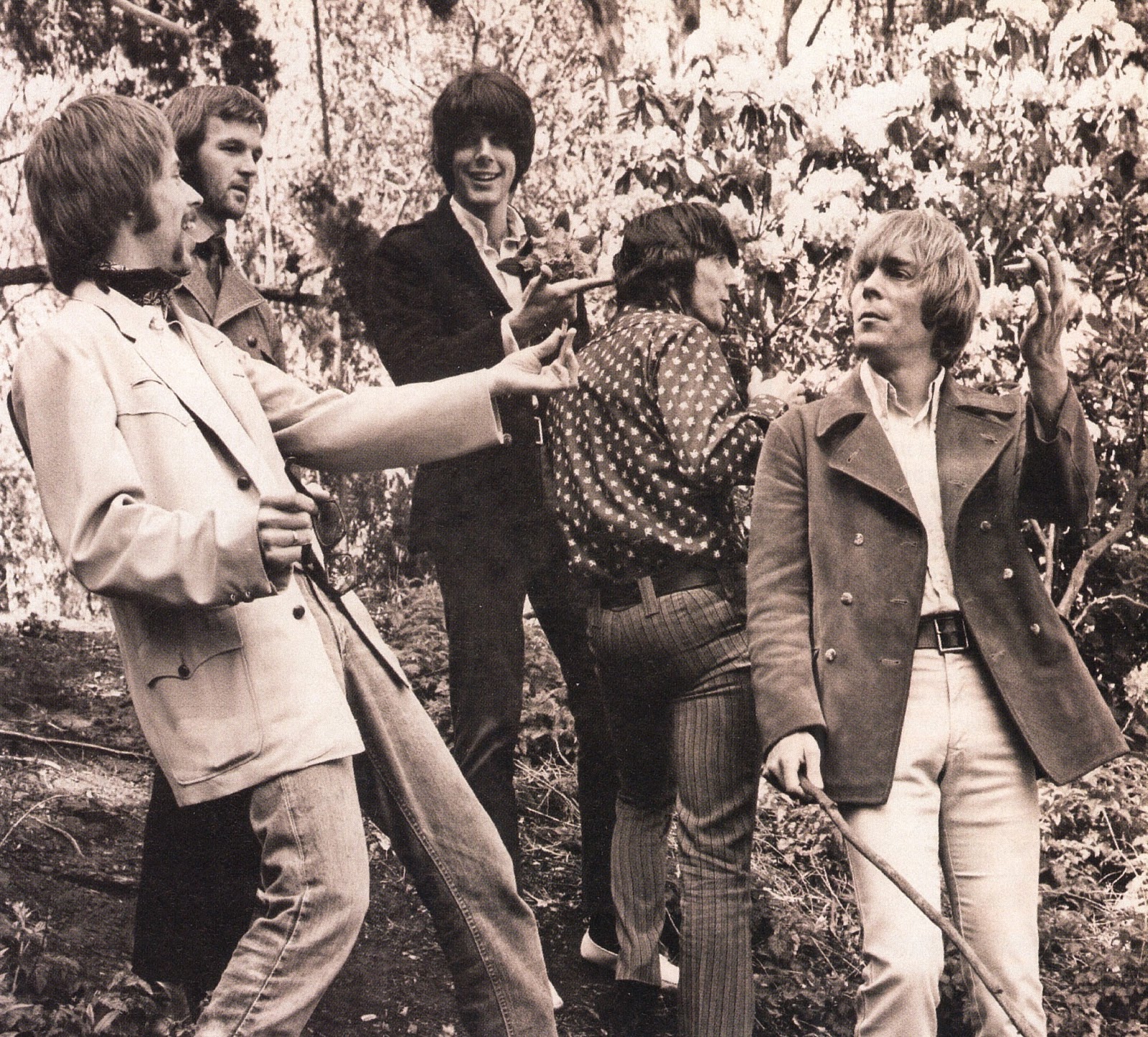 Forestdweller: February 2016