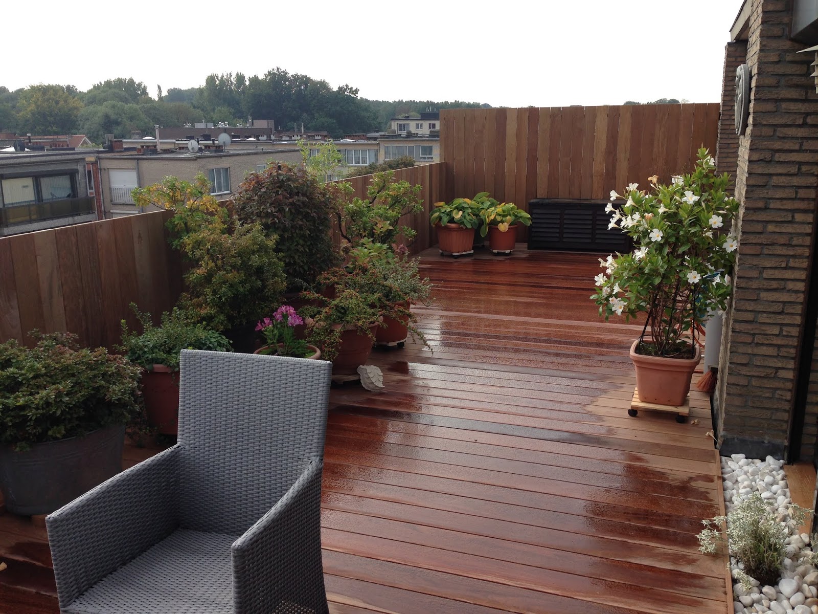 Dakterras | De Terrasreiniger