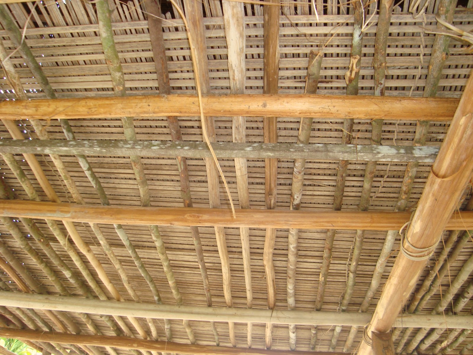 Zainatul Shuhaida: LATAR BELAKANG ORANG ASLI CHE WONG