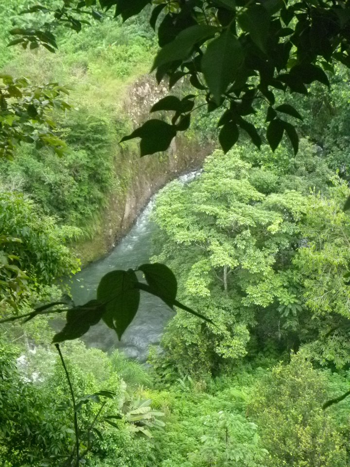 Culturama: REMONTANDO LOS CAUCES DEL GARICHE...