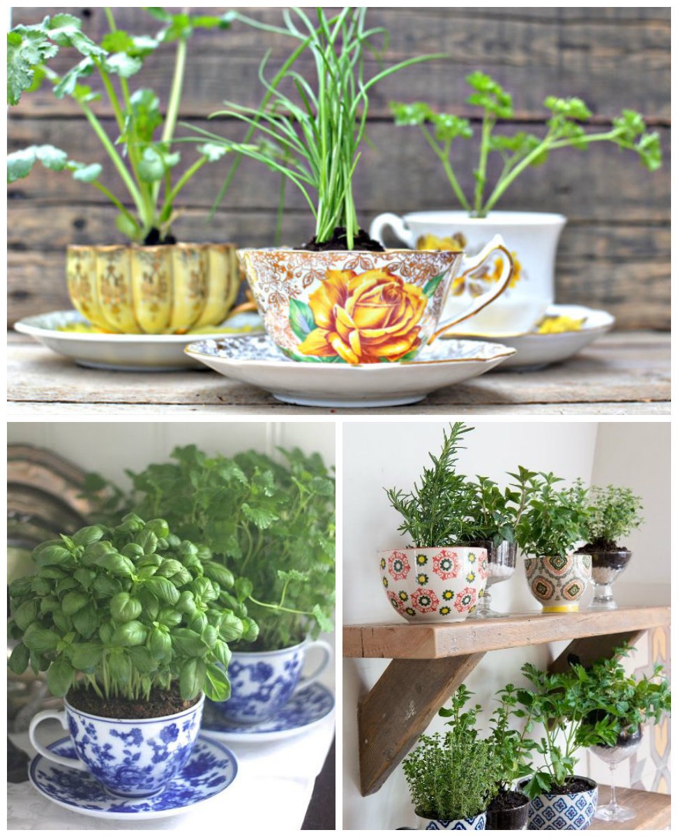 Mini Hortas: Ideias para fazer uma mini horta!!