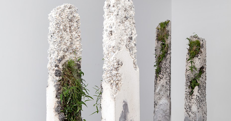 Digging In The Dirt: The work of Jamie North