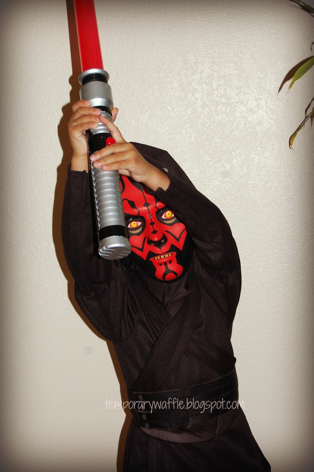 Temporary Waffle: Star Wars Darth Maul Costume Review!!