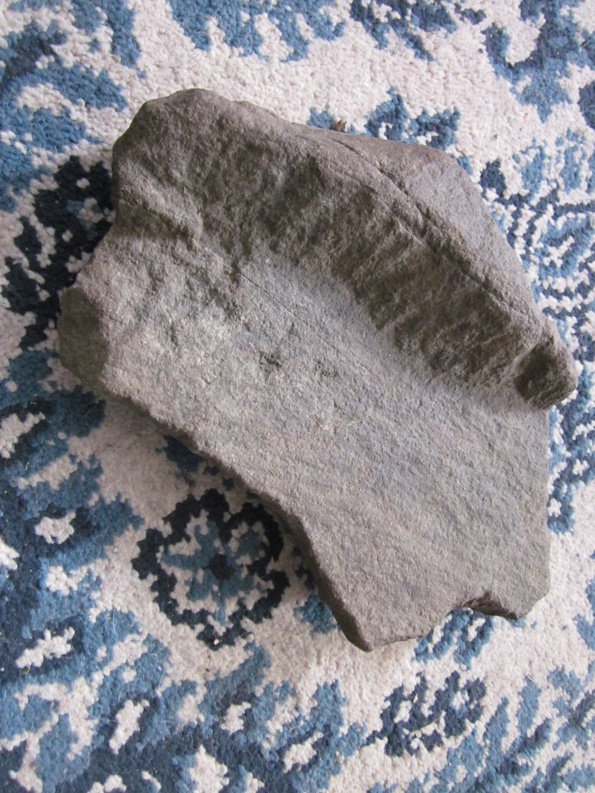 Waking Up on Turtle Island: Tinder for Thought