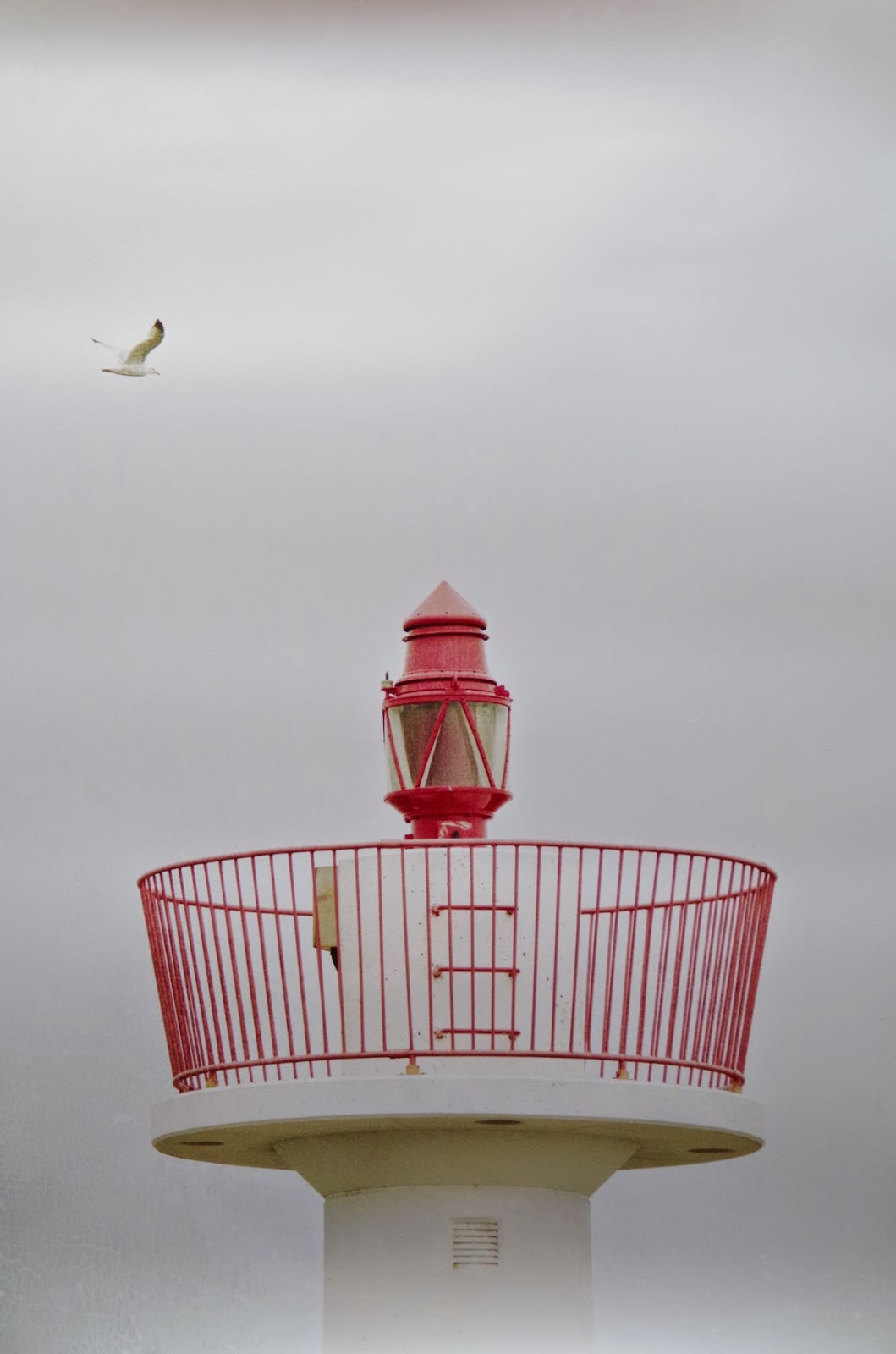 Mix and Chic: Product review- Redbubble photographic print!