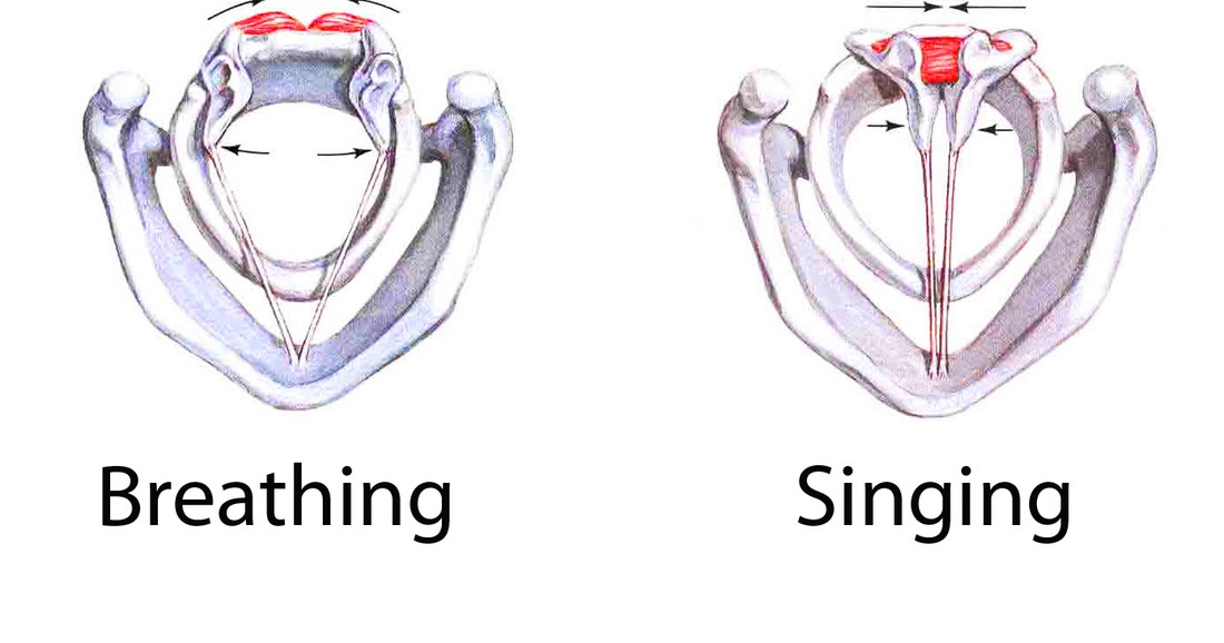 Vivekanantha Homeo Clinic & Psychological Counseling Centre, Chennai ...