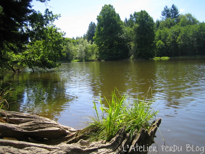 l'atelier perdu blog: L'été dans le Brionnais, c'est ça ! Summer in the ...