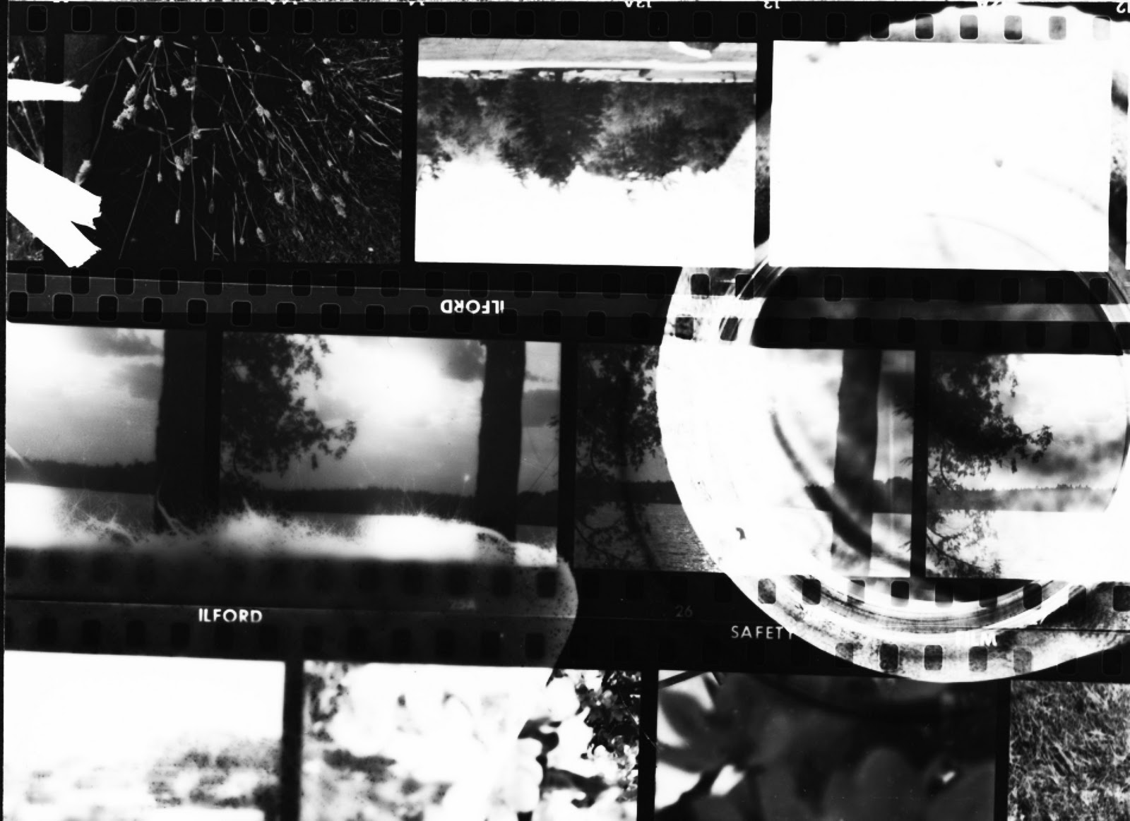 Looking Through My Eyes: Photograms