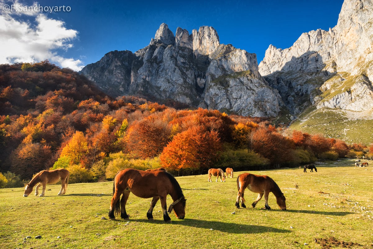 Escuela Cántabra de Fotografía de Naturaleza: Fotografía de Otoño en ...