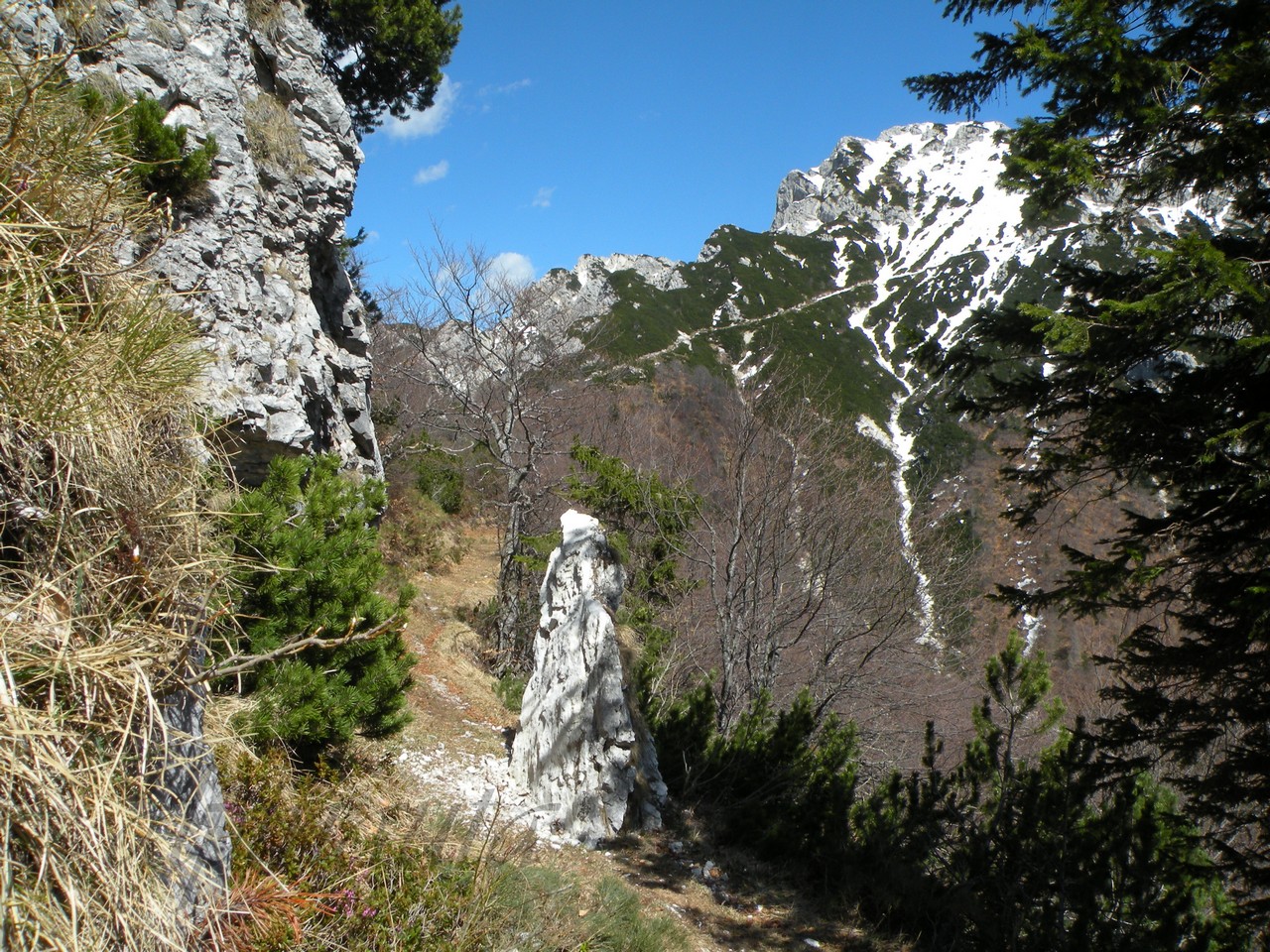 alpinauta: Un nido tra i mughi della Val Alba