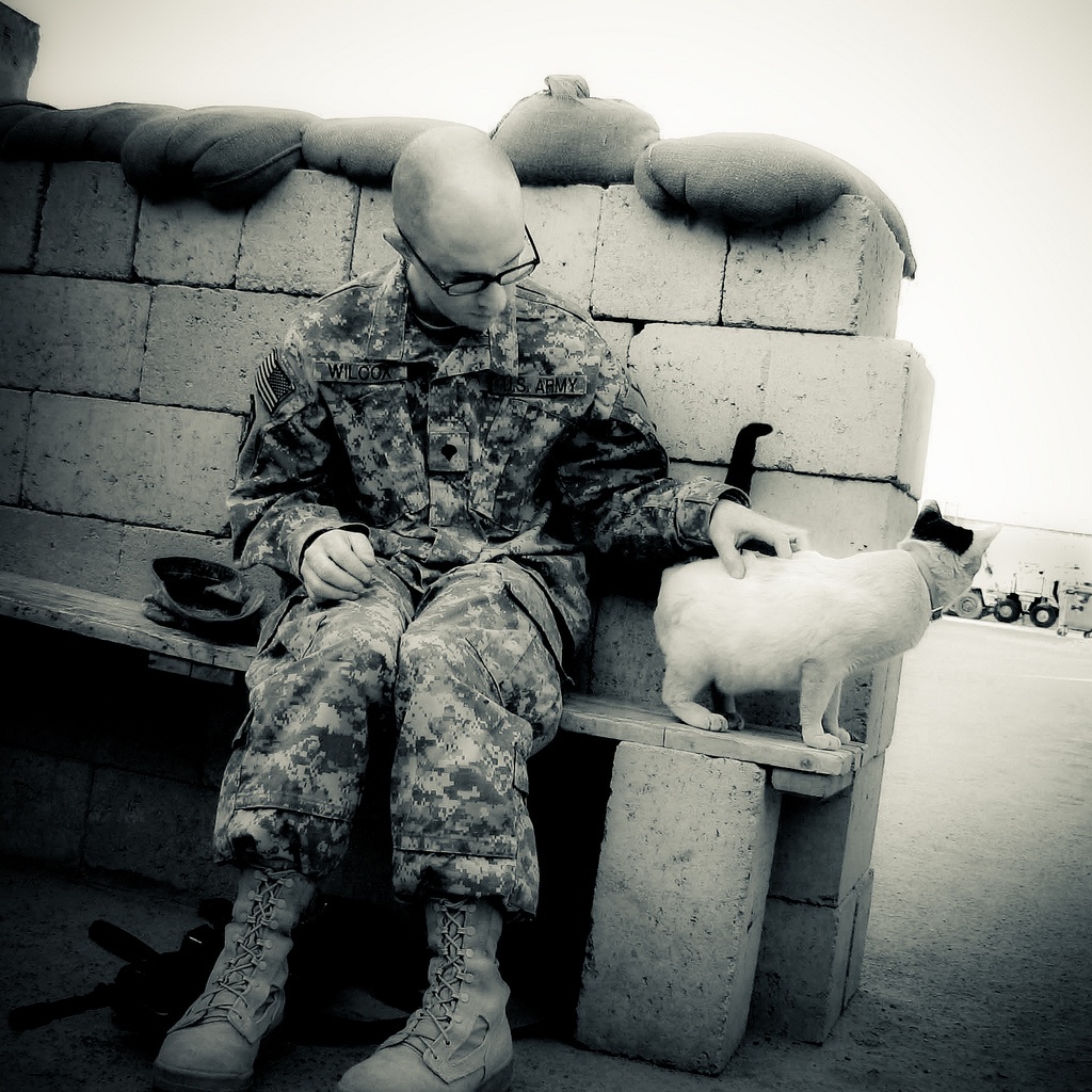 paper bag & string: Memorial Day Moment: An American Soldier in Iraq ...