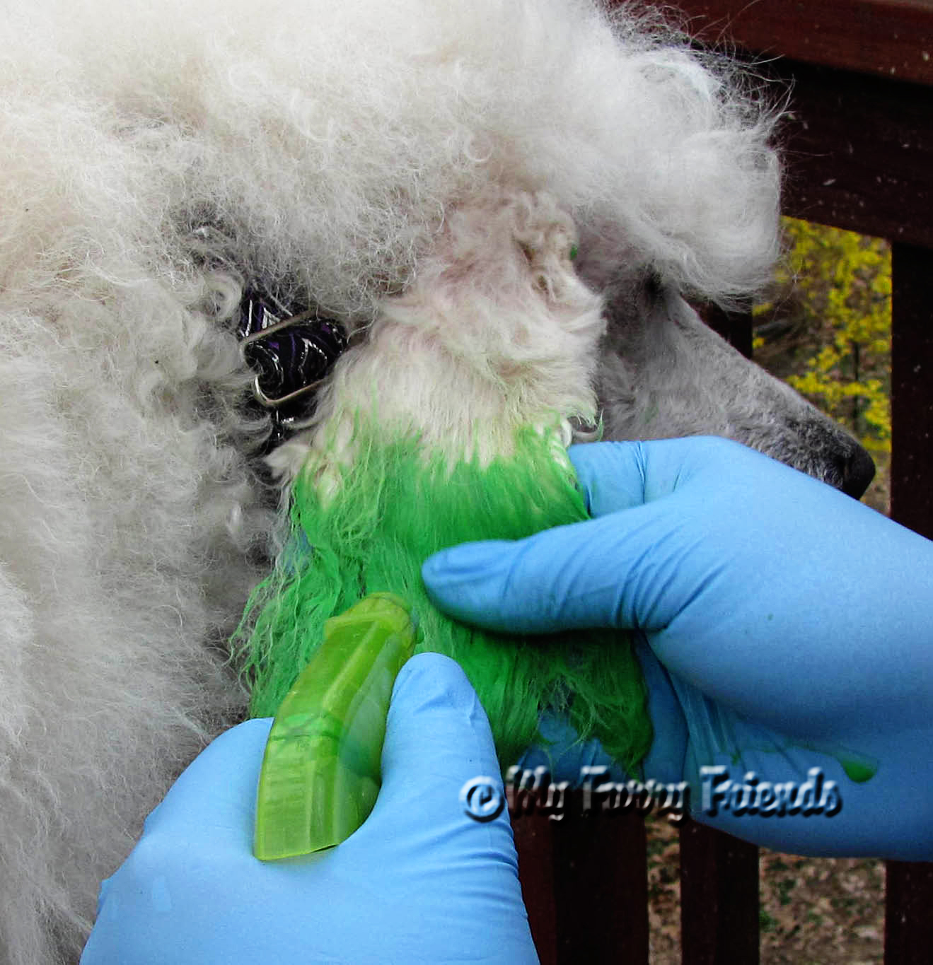 Pet Grooming: The Good, The Bad, & The Furry: SprayChalk??
