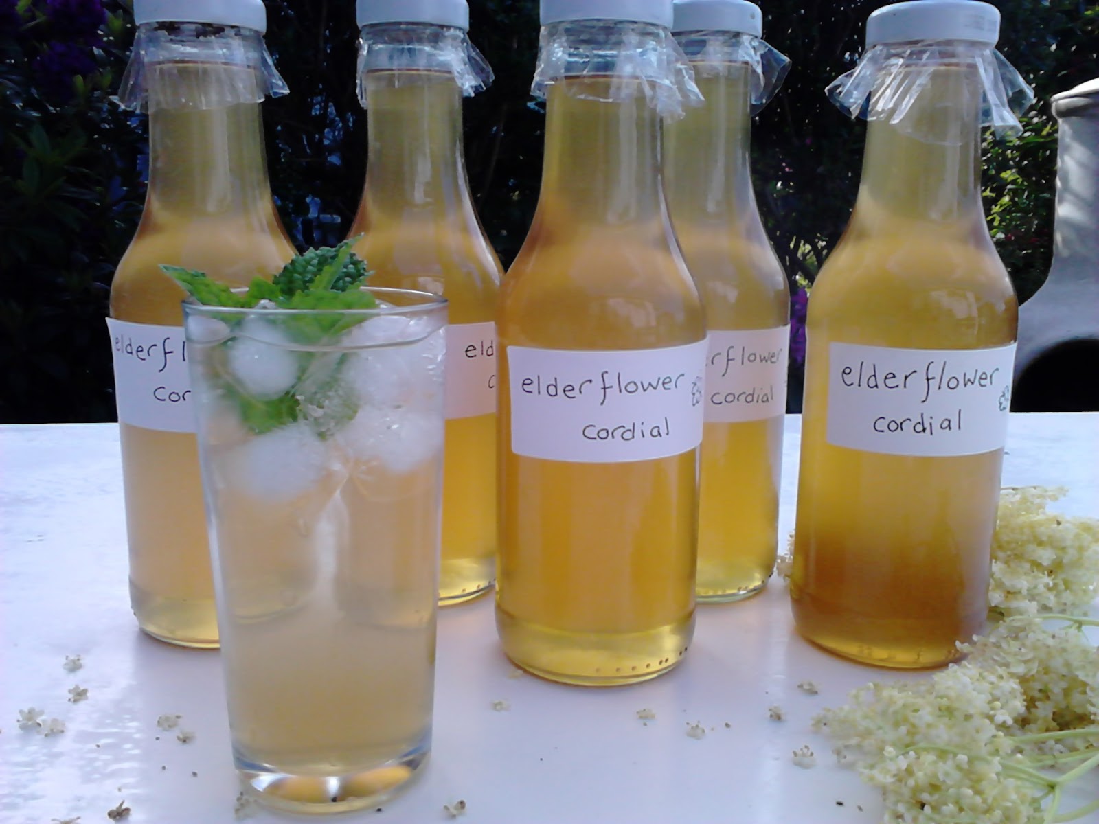 Woodle Doo: Elderflower Cordial