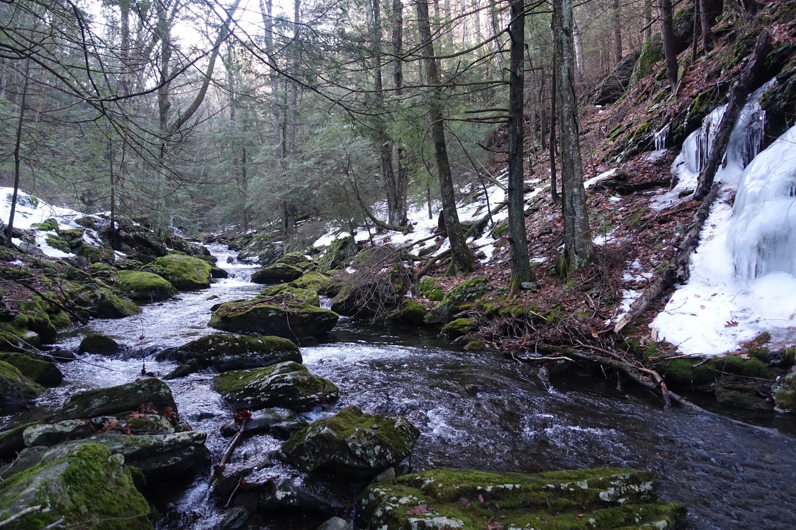 Of Rock & Riffle: A Monumental Mid-Winter's Day in a Deep, Dark Ravine