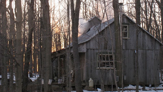 La tradition québécoise de la cabane à sucre | Attache ta tuque