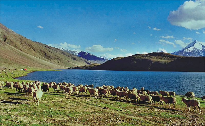 Chandertal Lake