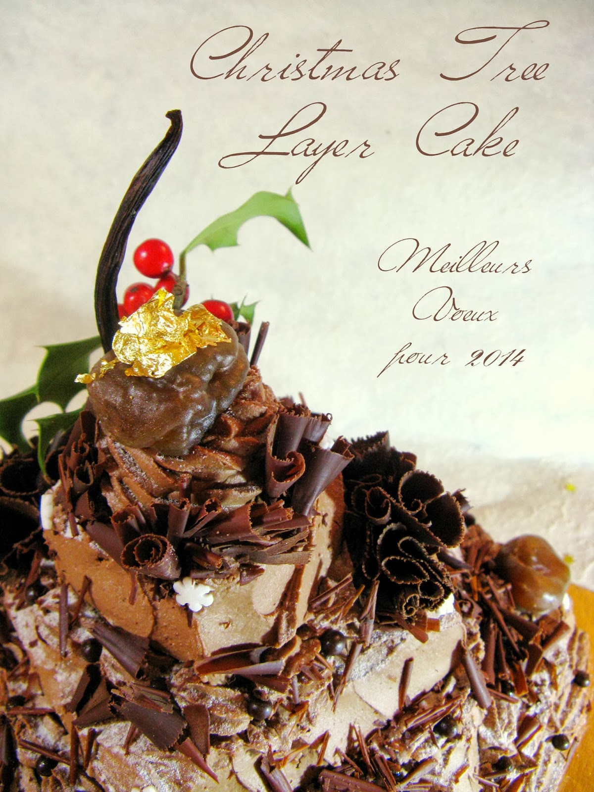 J'en reprendrai bien un bout...: Christmas Tree Layer Cake