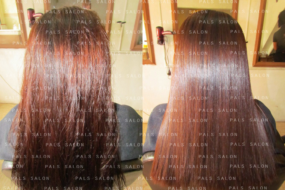 Pals Salon: GALLERY