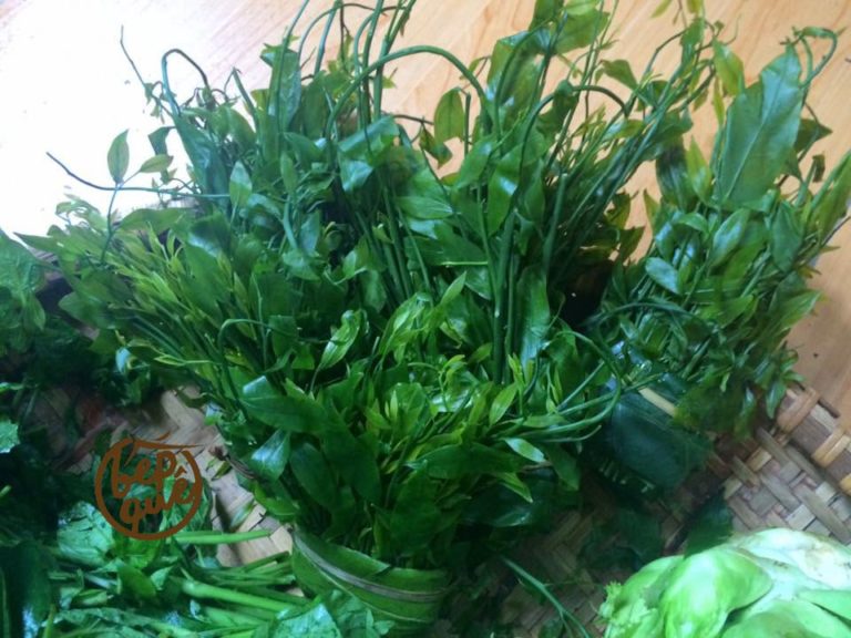 Hoài niệm Tây Ninh: 5 loại rau đắt hơn thịt được nhiều người tìm mua