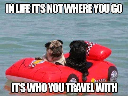In Life it's not where you go it's who you travel with ~ Joke All You Can