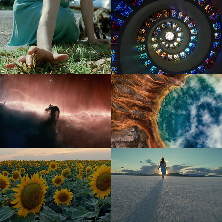 Cinematic Paradox: My 15 Favourite Films Filled with Colour