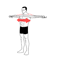 New Shoulder Exercises in PT-Helper | PT-Helper