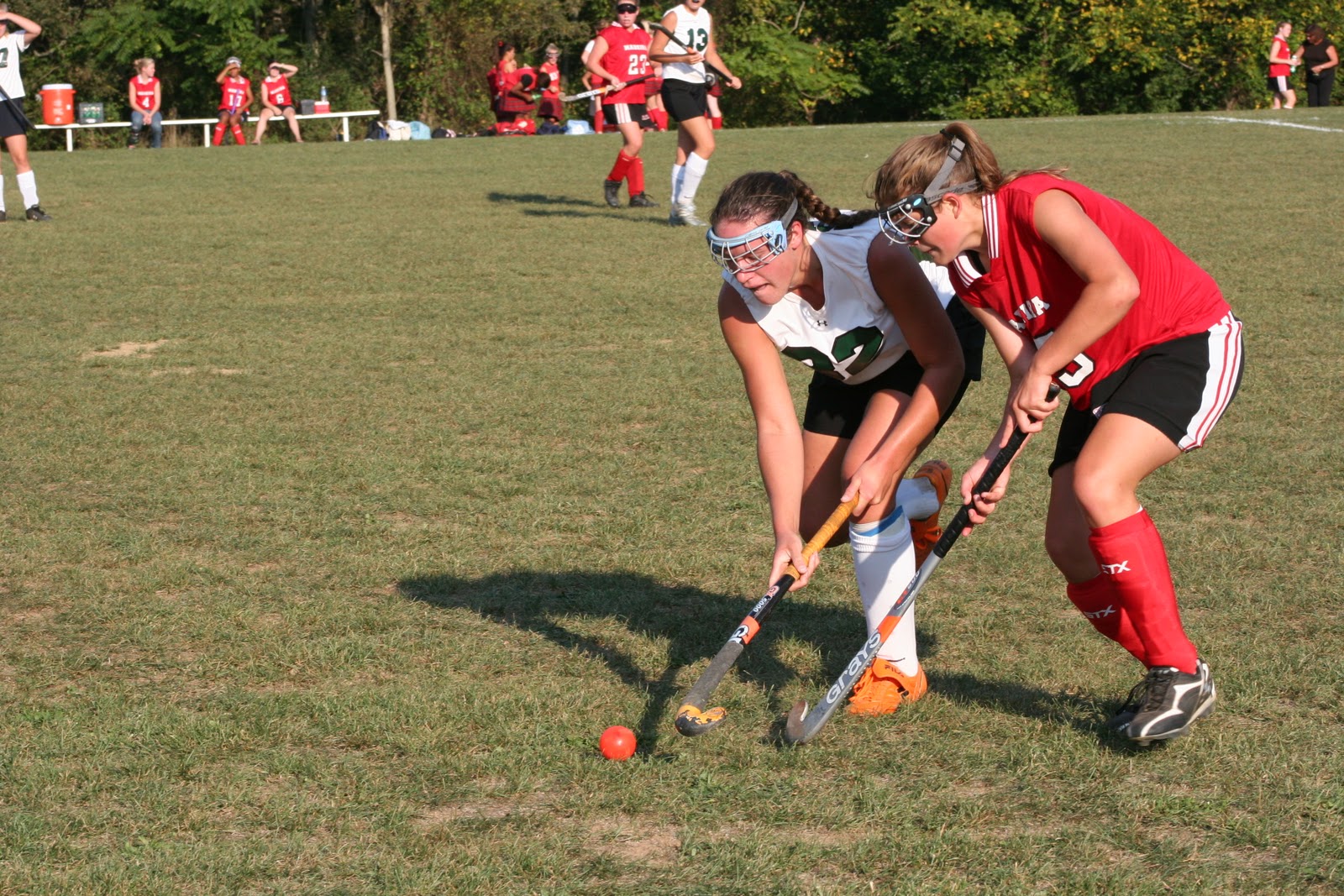 Viva Loudoun College Corner