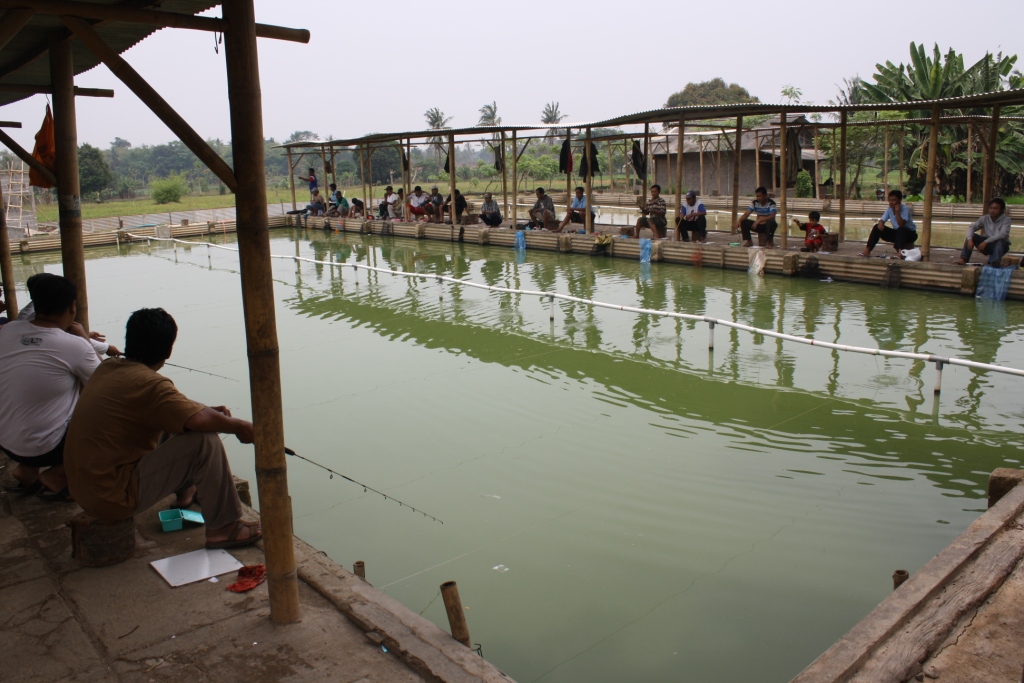 Pemancingan Gandaria Rajeg Tangerang...: Foto Pemancingan Ikan Mas saat ...