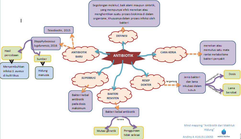 Mind Map Sistem Imun - Perumperindo.co.id