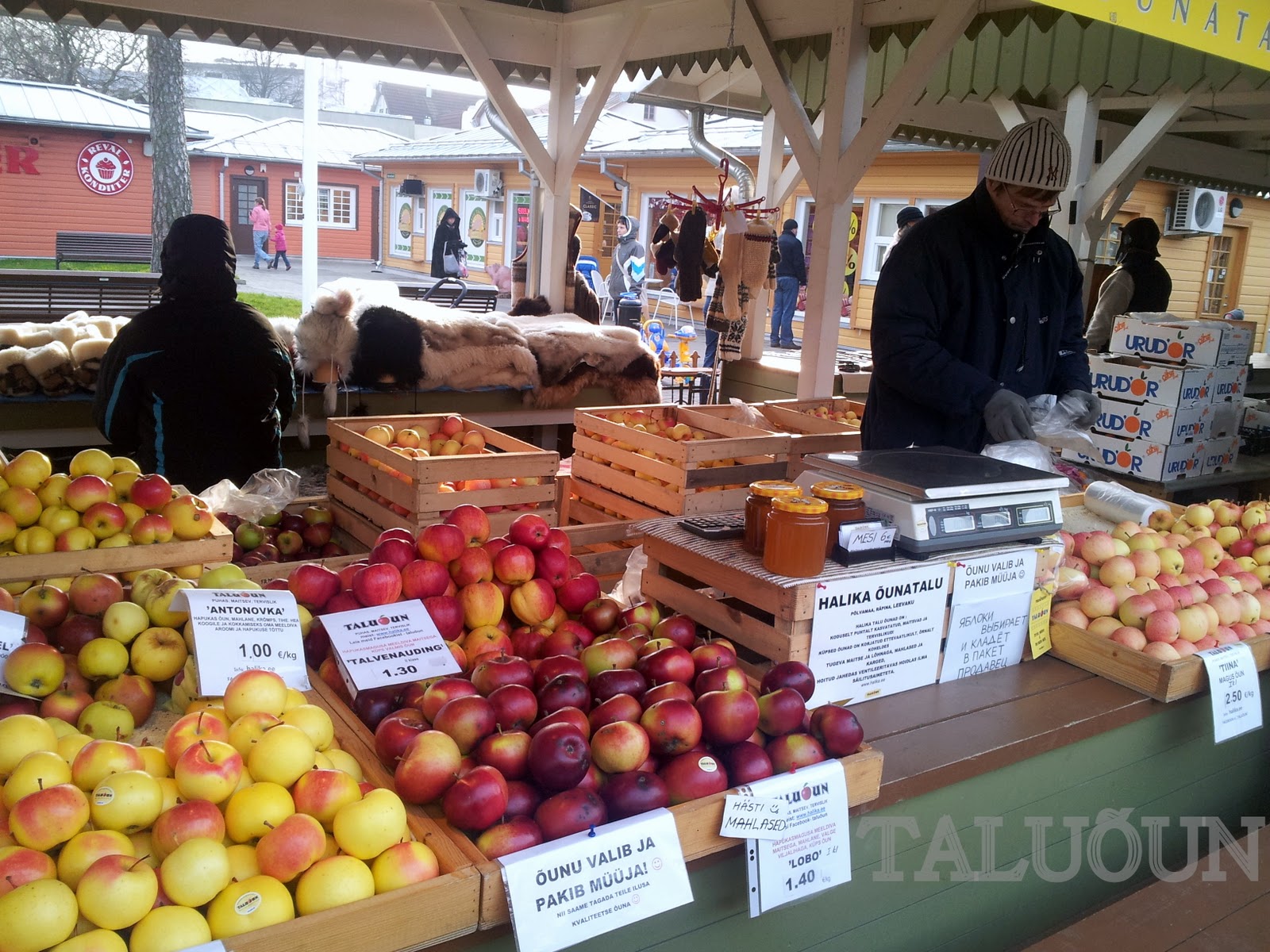 Halika talu õunad Nõmmel (pildid) – Halika Õunatalu: Puhas Eesti ...