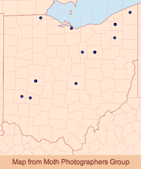 Field Biology in Southeastern Ohio: Prominent Moths of Ohio