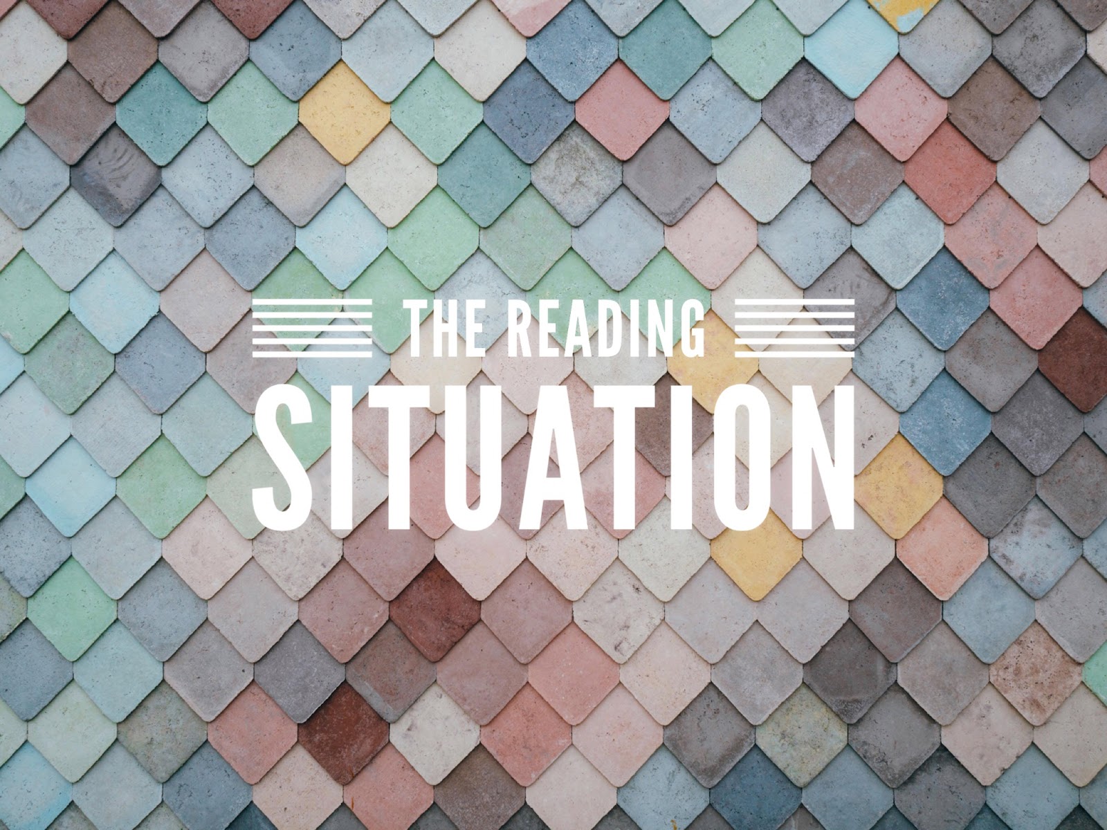 Bookishly Boisterous: The Reading Situation