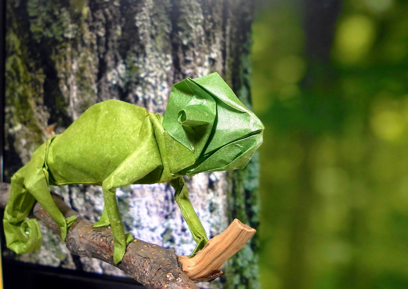 Mariano-Mi mundo el Origami: Chameleon