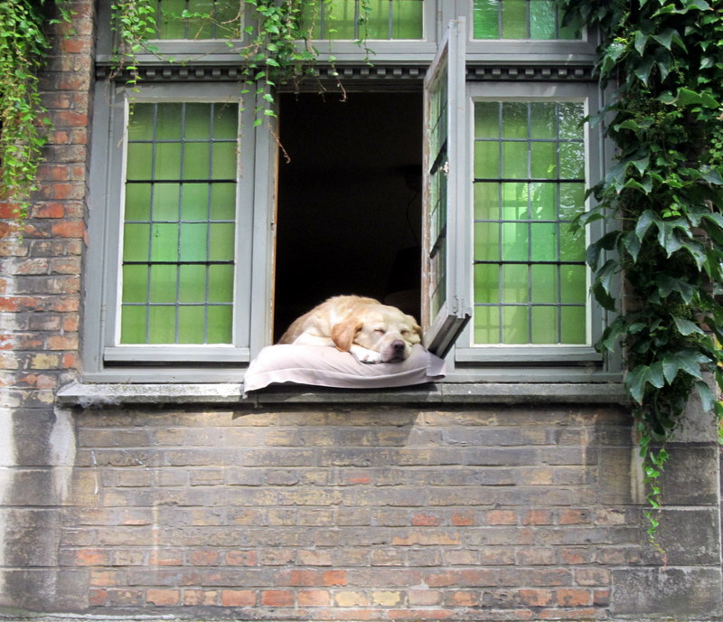 Sailing the Rhine and Mosel Rivers - August 2012