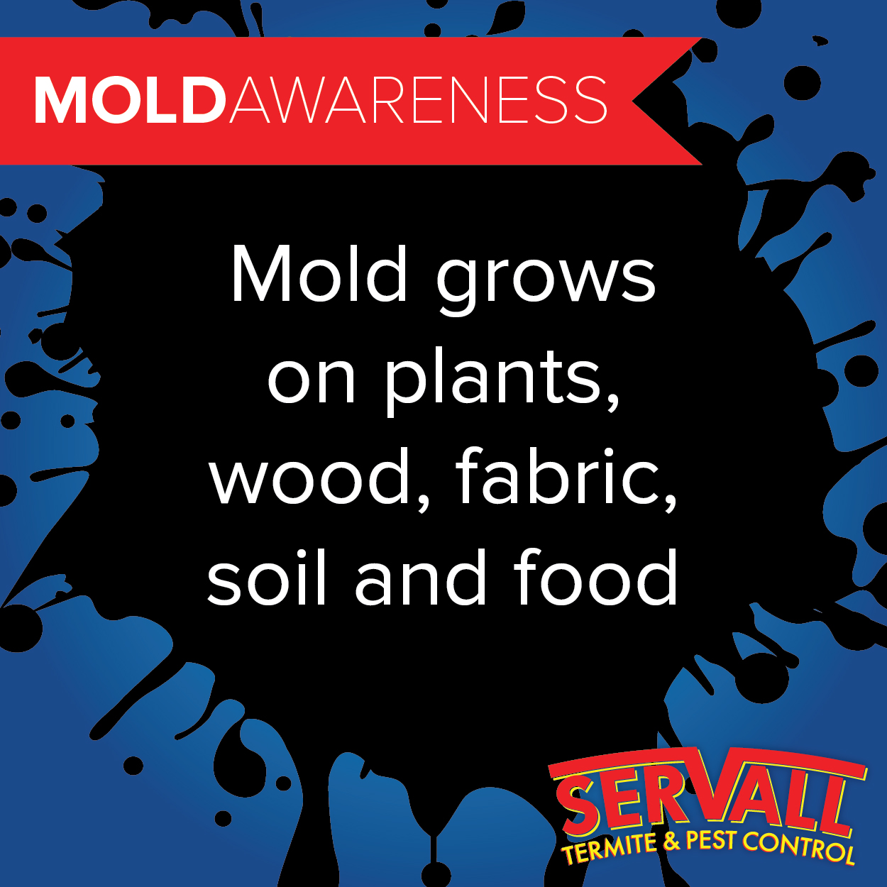 Servall Pest Control: September 2016