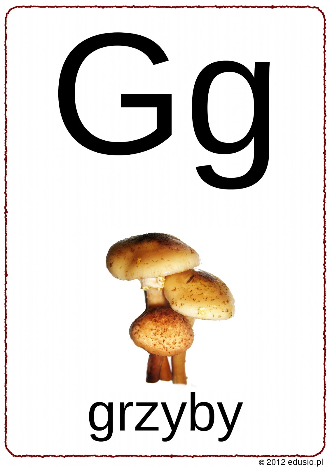 edusio - druczki do nauczki: Litera G