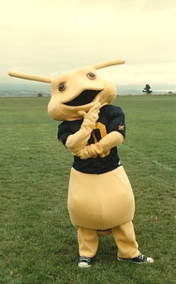 Weirdest mascots in college sports - News Funtuna