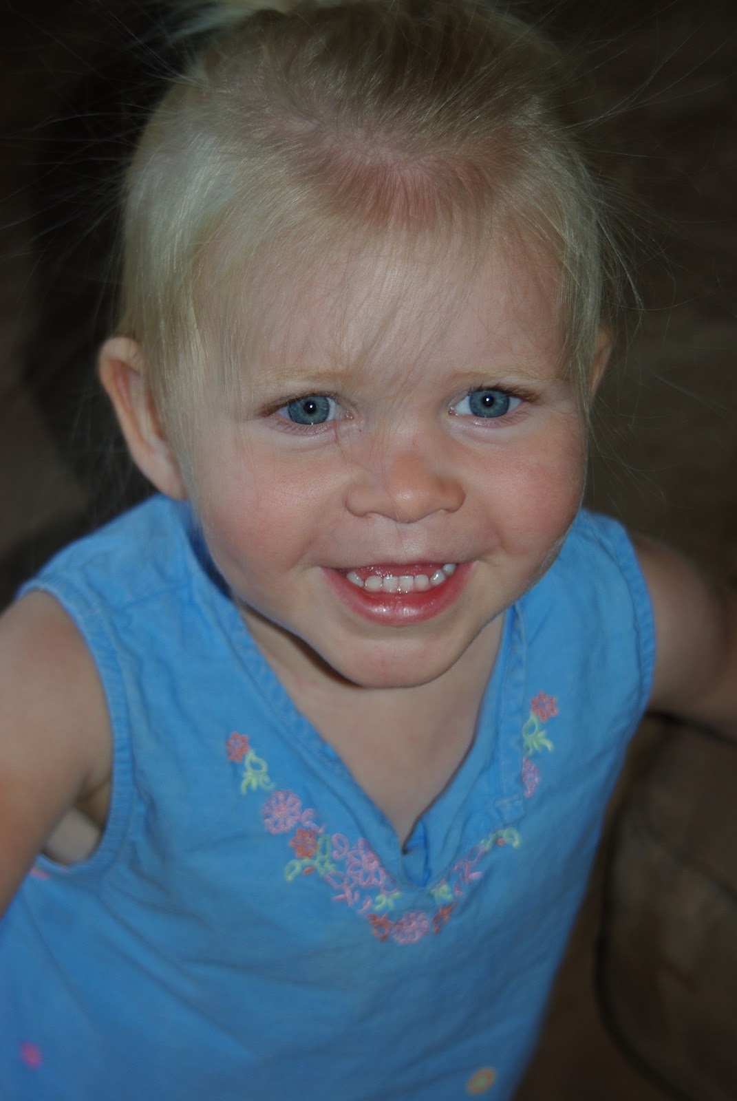 Dutch Love Family: Best Buds