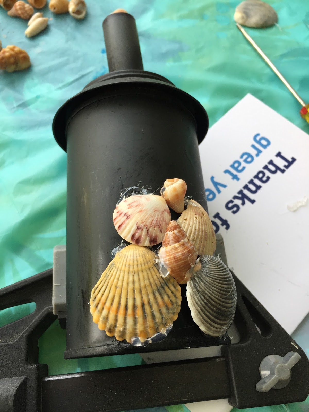 Bonfire Beaches: Seashell Solar Lights