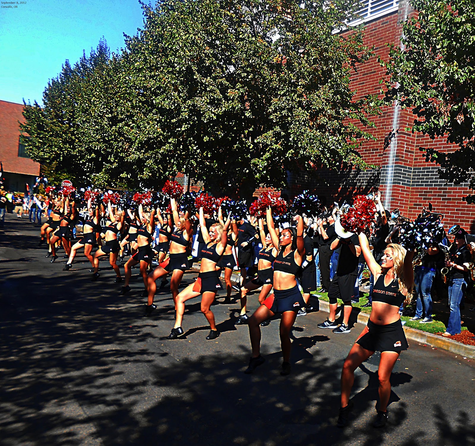 Sound and fury, signifying nothing: 1962 Liberty Bowl Champion OSU ...