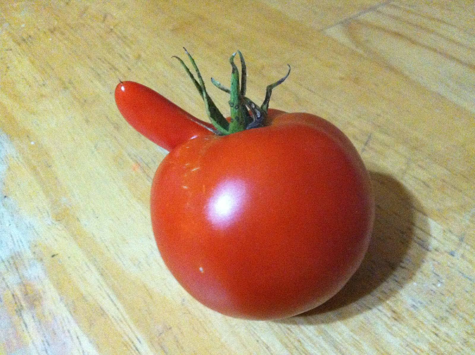 A Couple in the Kitchen: Attack of the Garden Tomatoes (with recipe for ...