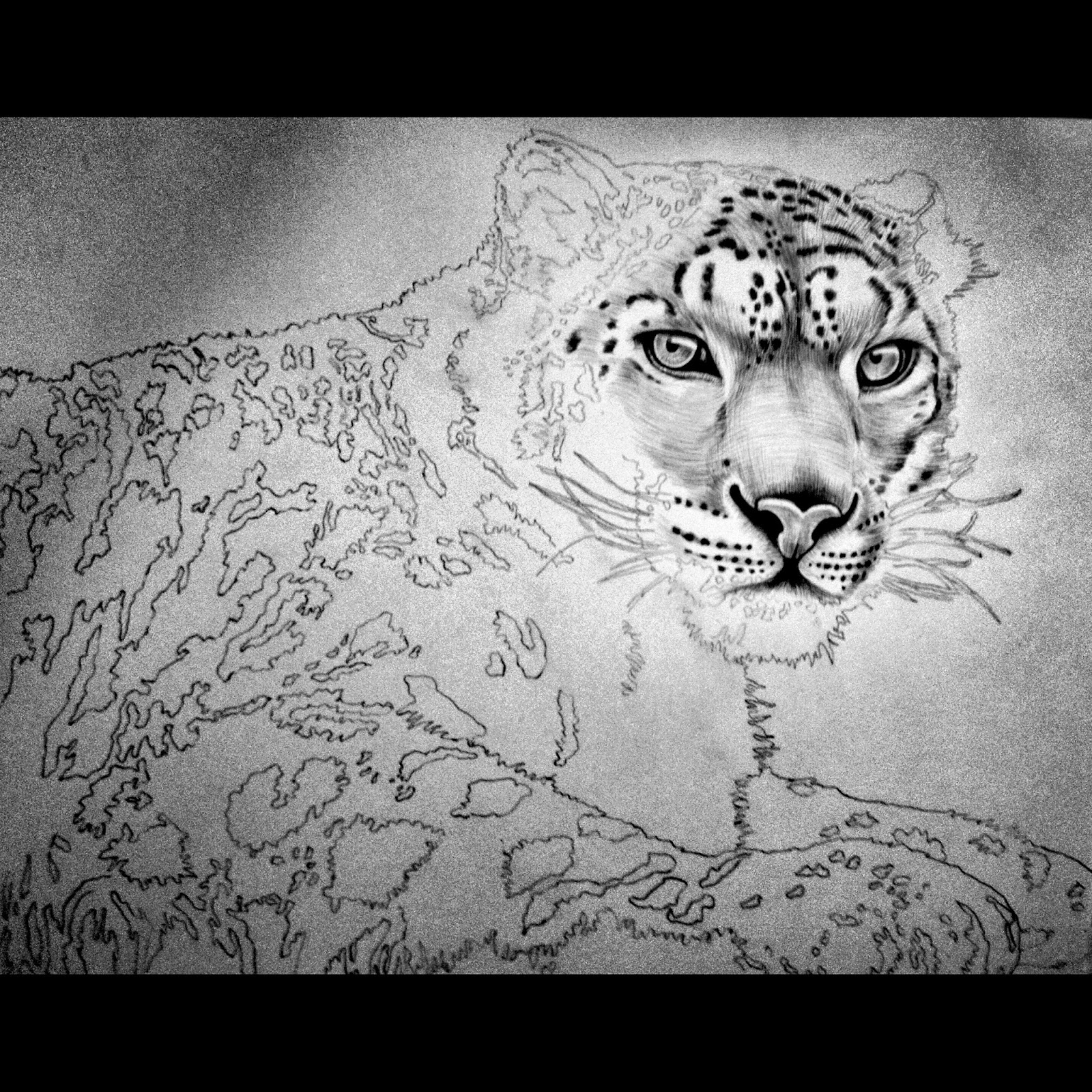 Tim Jeffs Art