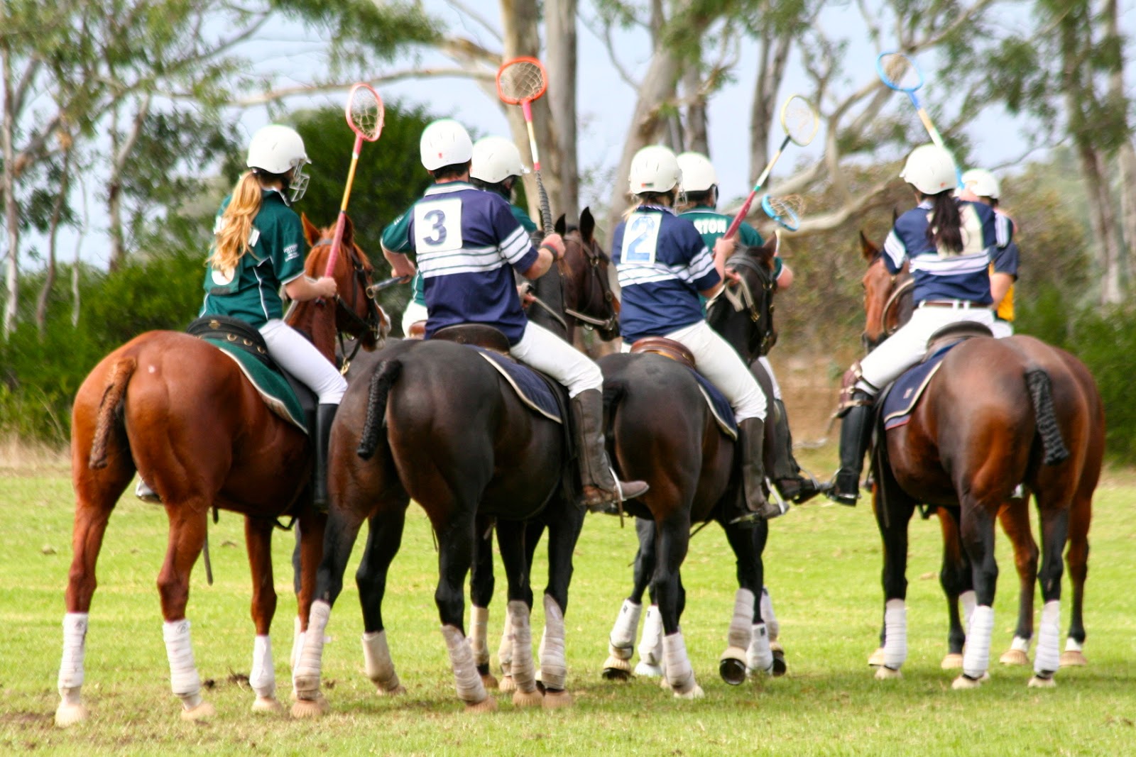Burns' Bonza Bush Bashin'.... and a Baby: Week 10: Rugby on horseback