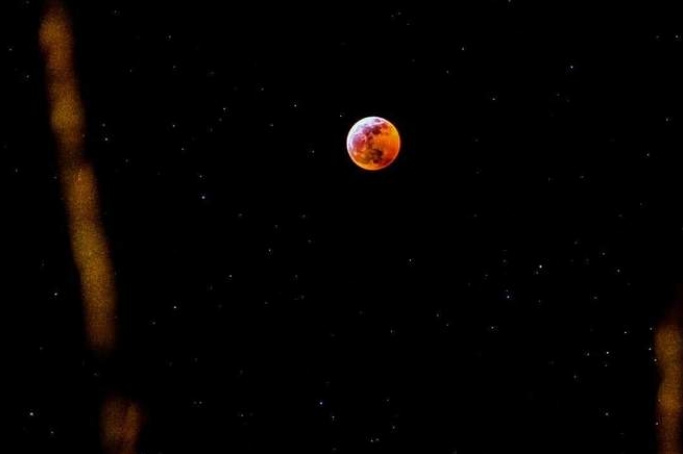 White Wolf : Stunning Photos Show 'Super Blood Wolf Moon' All Over the ...