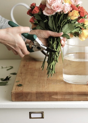 DIY Sweetheart Rose Arrangement | Coral, Peach and Pale Pink Roses ...