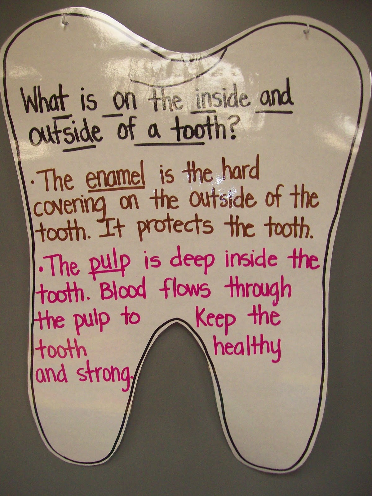 Teaching With Terhune: Dental Health