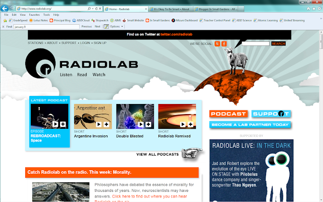In Small Gardens: Radiolab Podcasts