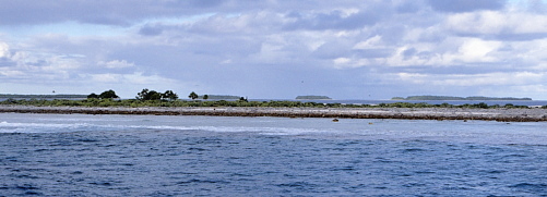 JFC's Birding: POLYNESIAN & PITCAIRN ISLAND TRIP REPORT 4TH JUNE 2006 ...